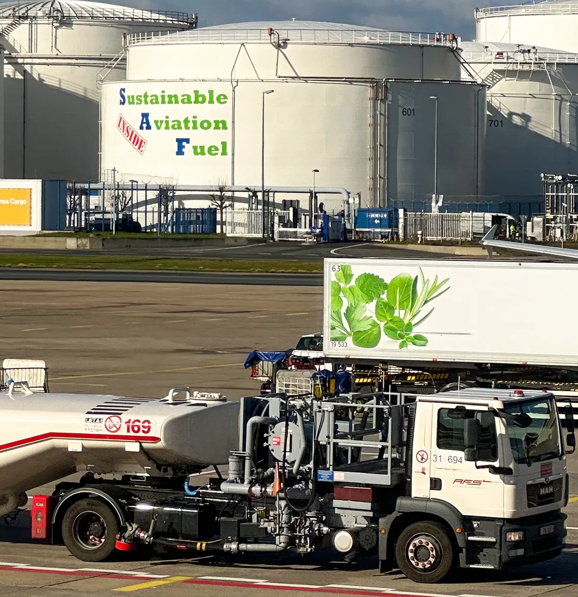 Green jet fuel: Promise or challenge for aviation's future?